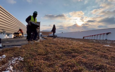 LiveRoof Green Roof Installation - Combined Roofing